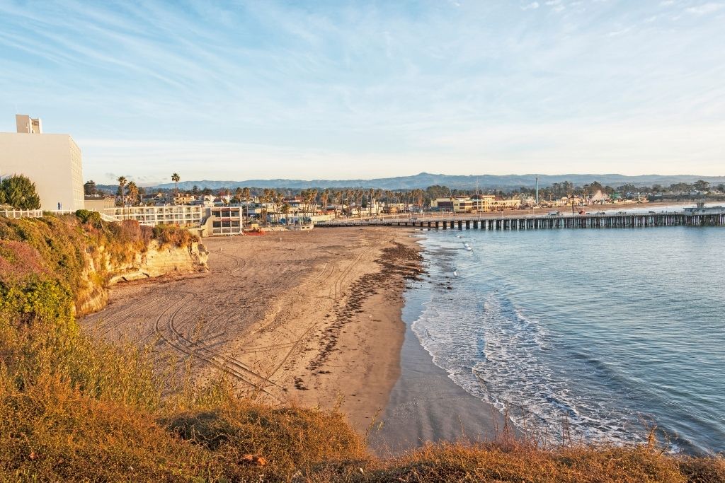 19 Best Beaches Near Santa Cruz - From A Local (2024)