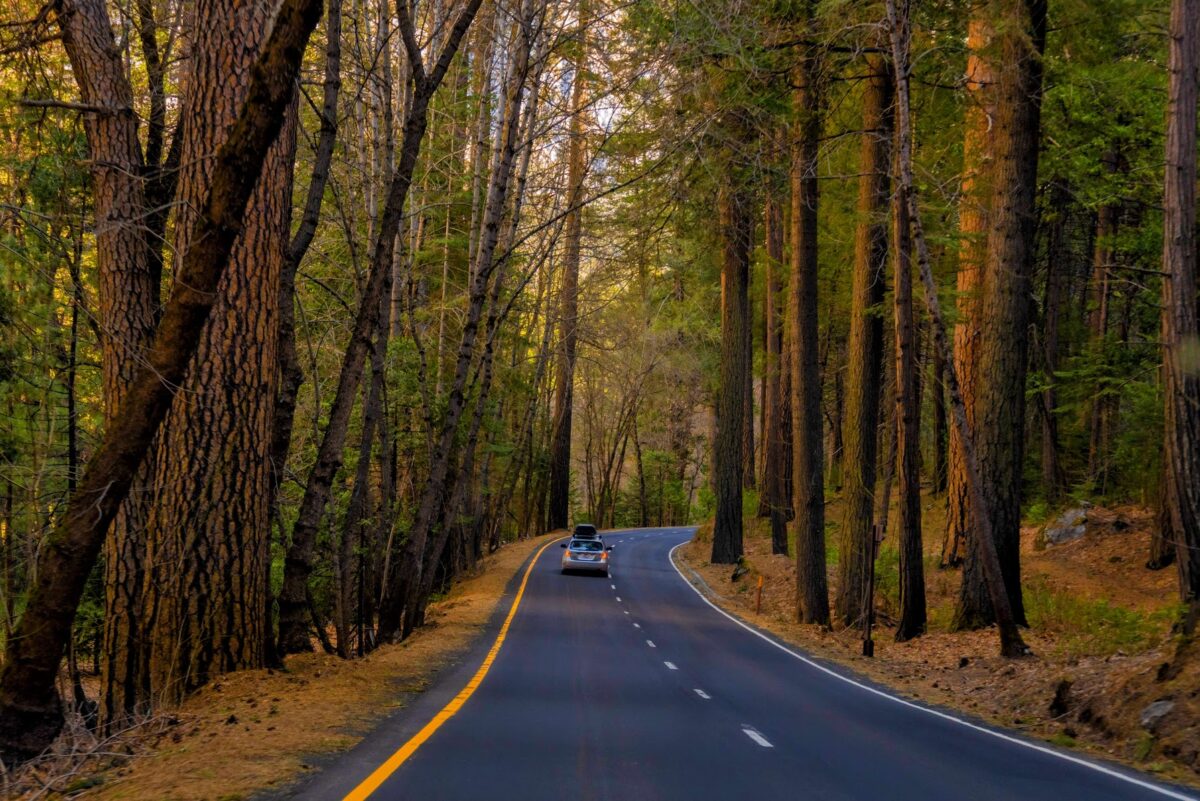 7 Epic Road Trips to Yosemite From A Local