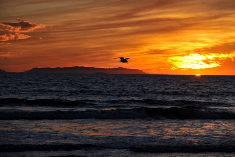 17 Romantic Things to do in Catalina Island