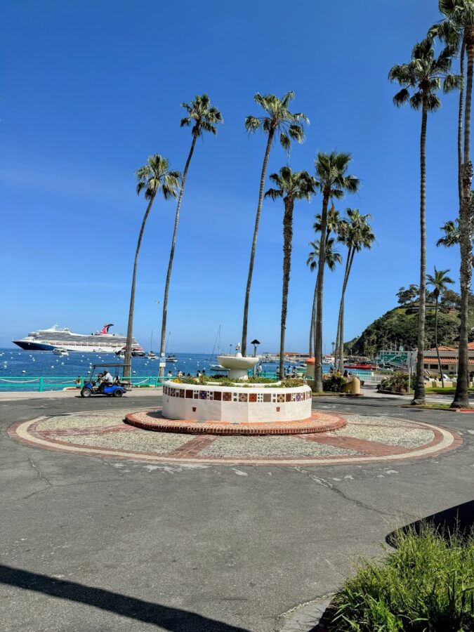 Dogs On Catalina Island (Best Dog-Friendly Guide)
