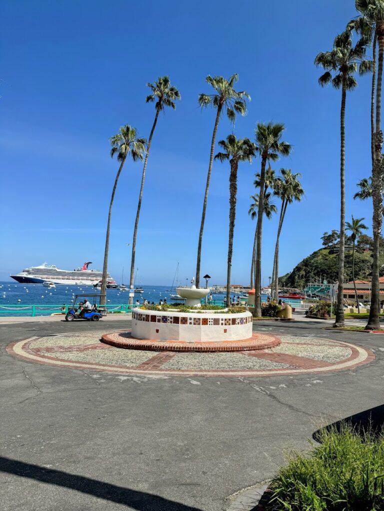 Dogs On Catalina Island (Best Dog-Friendly Guide)