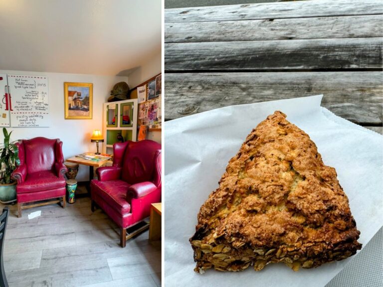 15 Best Bodega Bay Restaurants