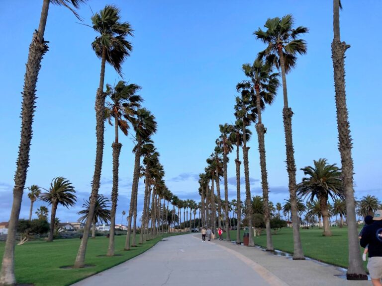 11 Epic Things to Do in Oxnard for the Perfect Weekend Getaway
