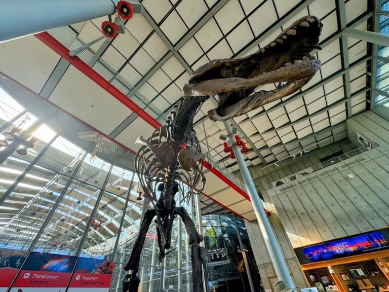 21 Reasons To Visit The California Academy of Sciences